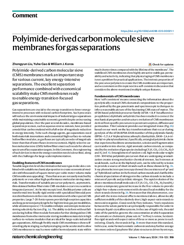 (PDF) Polyimide-derived carbon molecule sieve membranes for gas separations