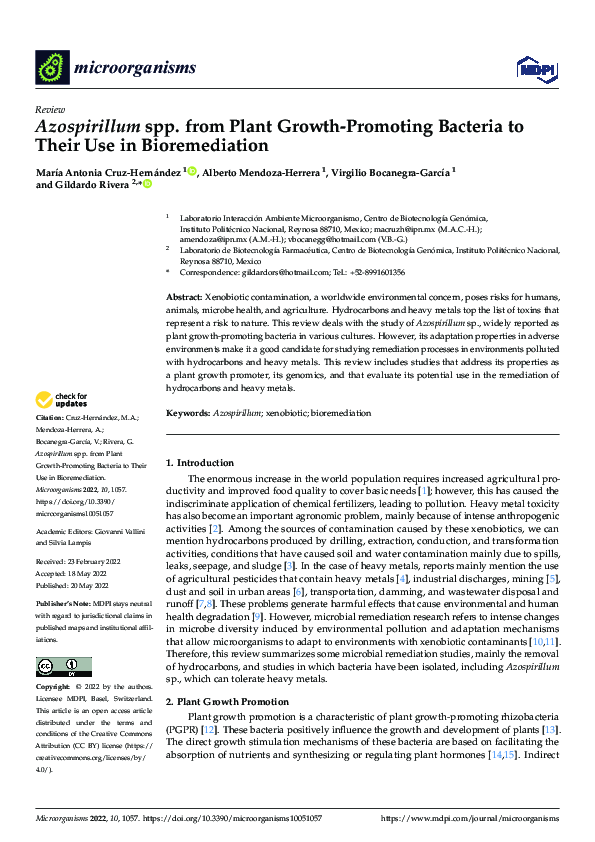 (PDF) Azospirillum spp. from Plant Growth-Promoting Bacteria to Their Use in Bioremediation