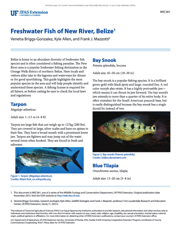 (PDF) Freshwater Fish of New River, Belize