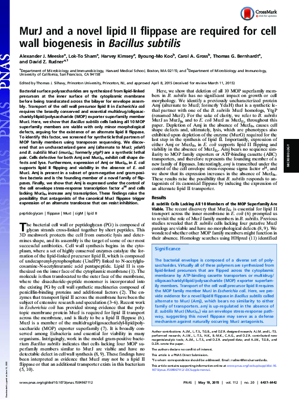(PDF) MurJ and a novel lipid II flippase are required for cell wall ...