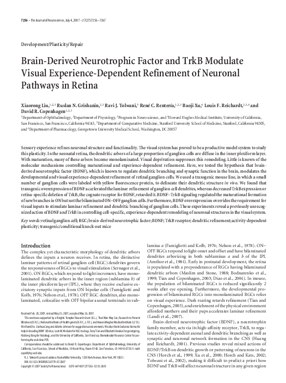 (PDF) Brain-Derived Neurotrophic Factor and TrkB Modulate Visual ...
