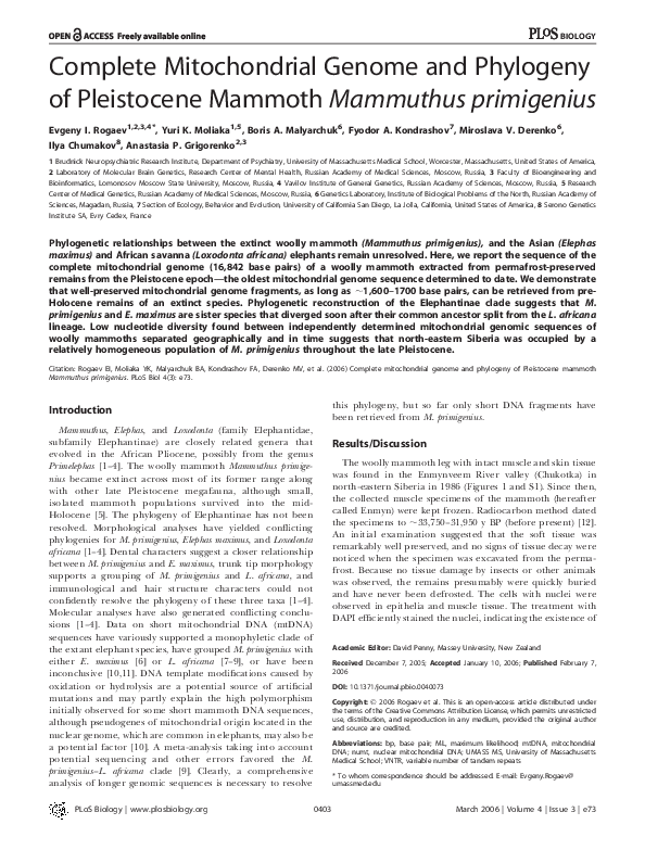(PDF) Complete Mitochondrial Genome and Phylogeny of Pleistocene MammothMammuthus primigenius ...