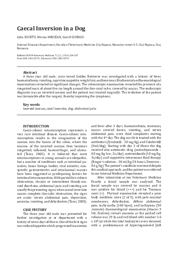 (PDF) Caecal Inversion in a Dog