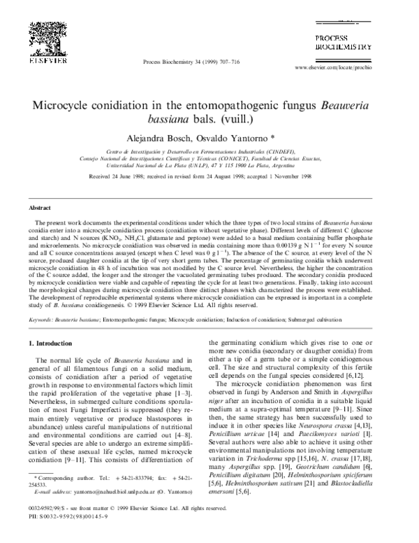 (PDF) Microcycle conidiation in the entomopathogenic fungus Beauveria ...