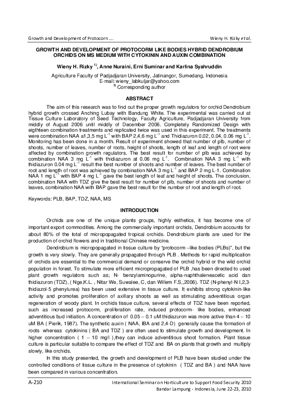 (PDF) Growth and Development of Protocorm Like Bodies Hybrid Dendrobium ...