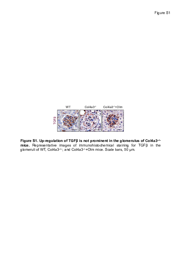 (PDF) Supplementary figures and tables