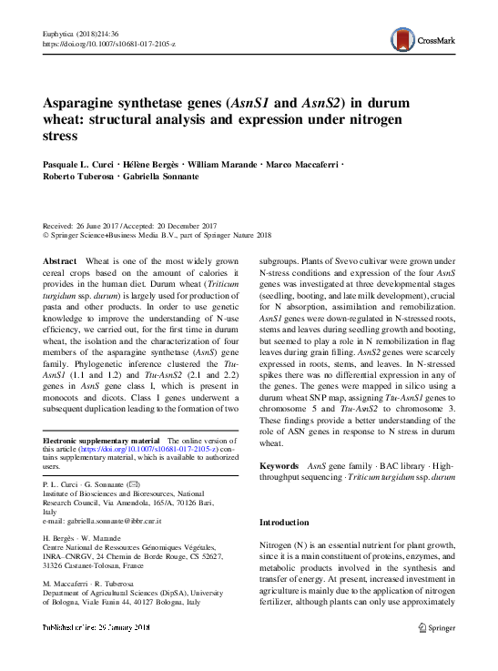 (PDF) Asparagine synthetase genes (AsnS1 and AsnS2) in durum wheat ...
