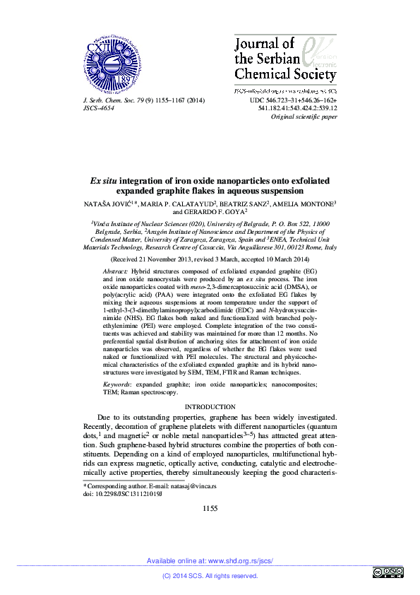 (PDF) Ex situ integration of iron oxide nanoparticles onto the ...