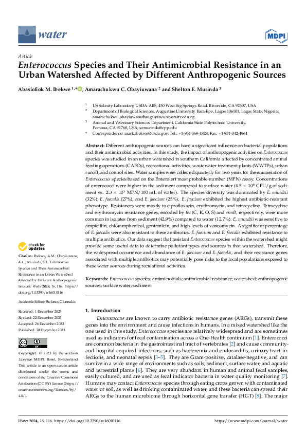 (PDF) Enterococcus Species and Their Antimicrobial Resistance in an ...