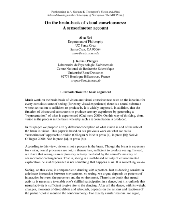 (PDF) On the Brain-Basis of Visual Consciousness: A Sensorimotor Account