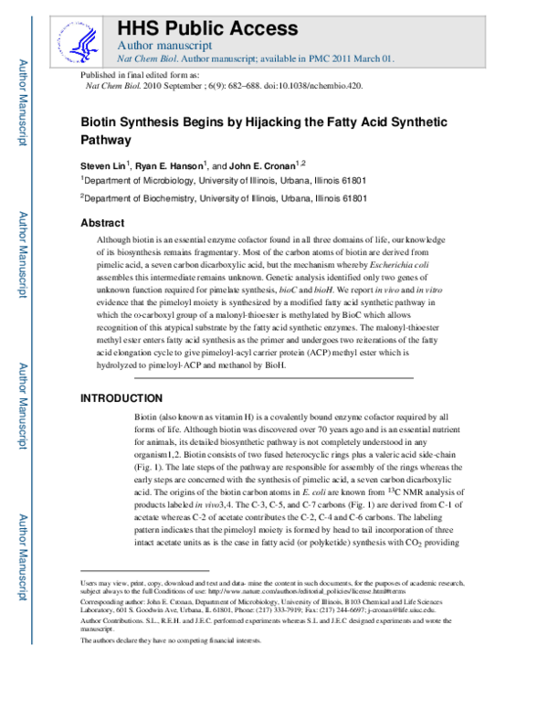 (PDF) Biotin synthesis begins by hijacking the fatty acid synthetic pathway