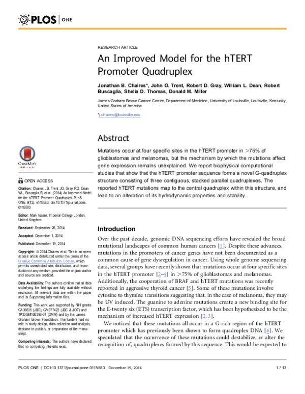 (PDF) An Improved Model for the hTERT Promoter Quadruplex