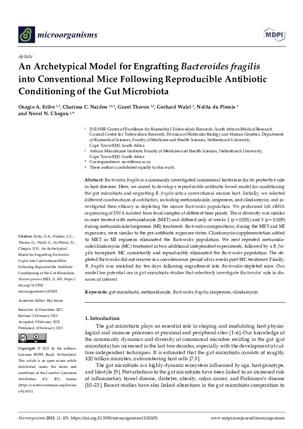 (PDF) An Archetypical Model for Engrafting Bacteroides fragilis into ...