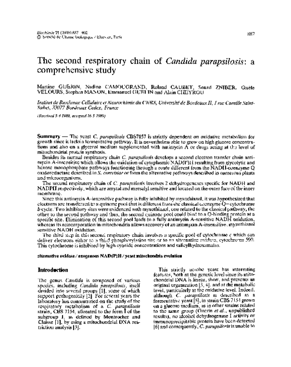 (PDF) The second respiratory chain of Candida parapsilosis: a ...
