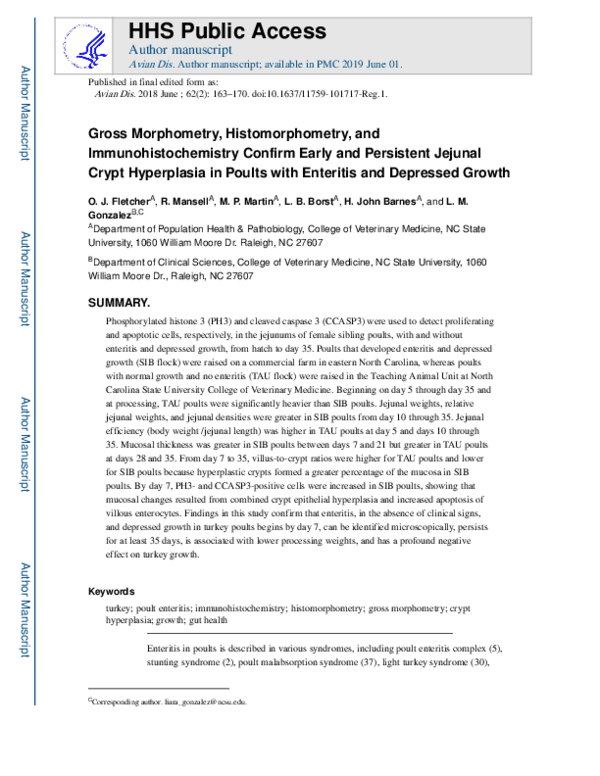 (PDF) Gross Morphometry, Histomorphometry, and Immunohistochemistry ...