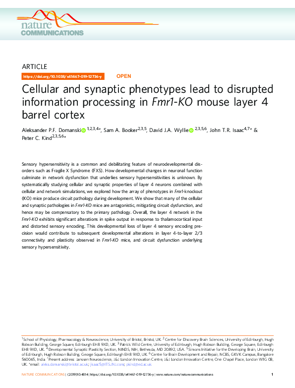 (PDF) Cellular and synaptic phenotypes lead to disrupted information processing in Fmr1-KO mouse ...