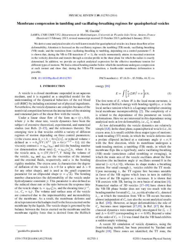(PDF) Membrane compression in tumbling and vacillating-breathing ...