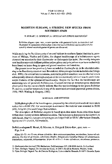 (PDF) Bolbitius elegans, a striking new species from southern Spain