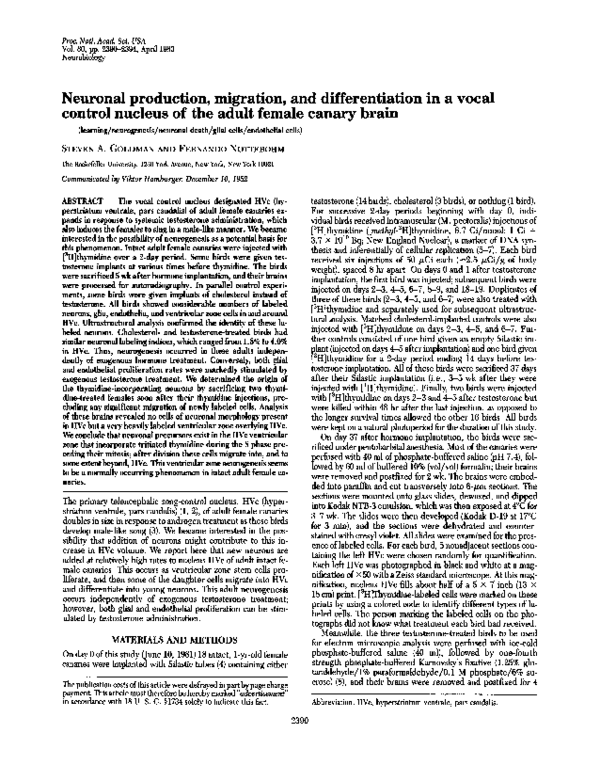 (PDF) Neuronal production, migration, and differentiation in a vocal ...