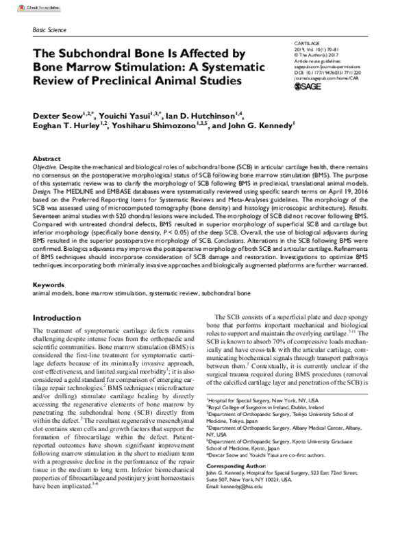 (PDF) Impact of Bone Marrow Stimulation on Subchondral Bone Morphology
