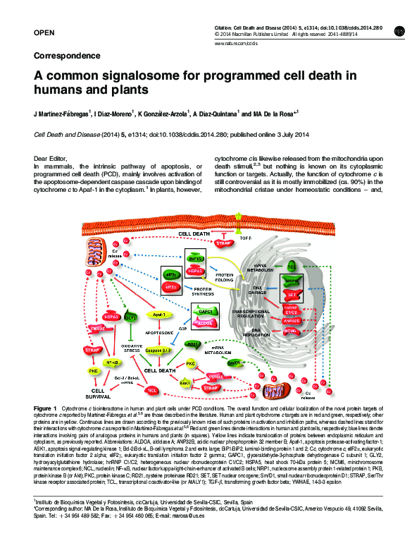 (PDF) A common signalosome for programmed cell death in humans and plants
