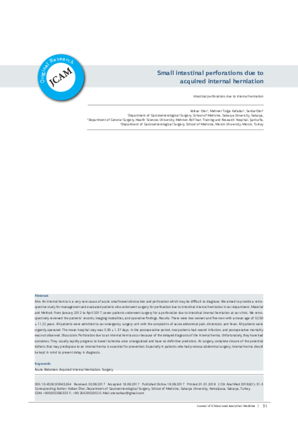 (PDF) Small intestinal perforations due to acquired internal herniation ...