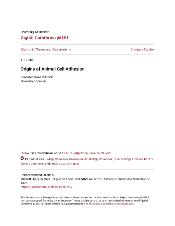 (PDF) Origins of Animal Cell Adhesion