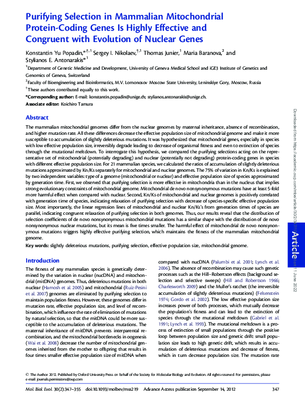 (PDF) Purifying Selection in Mammalian Mitochondrial Protein-Coding ...