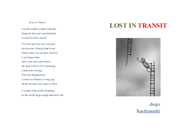 (PDF) LOST IN TRANSIT cover and text