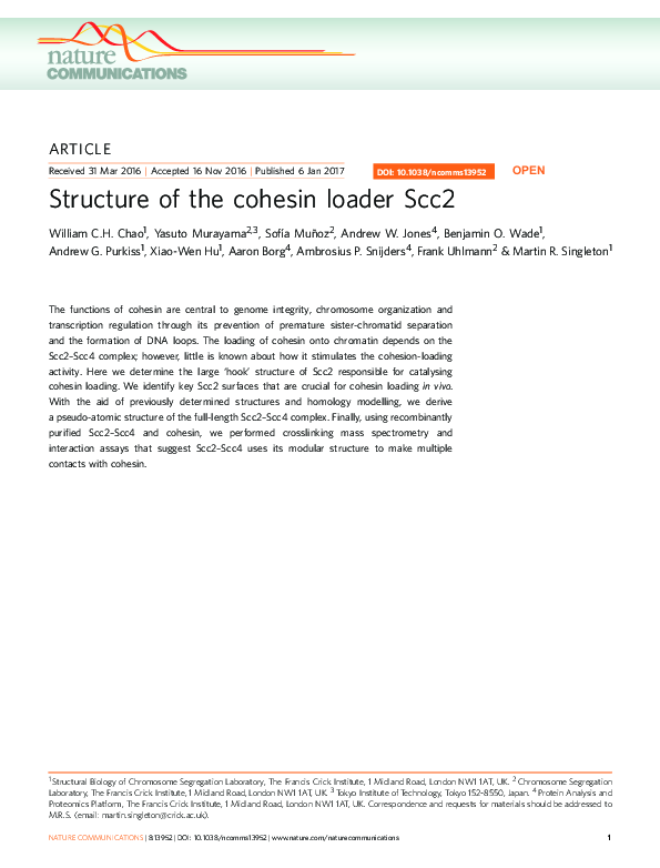 (PDF) Structure of the cohesin loader Scc2