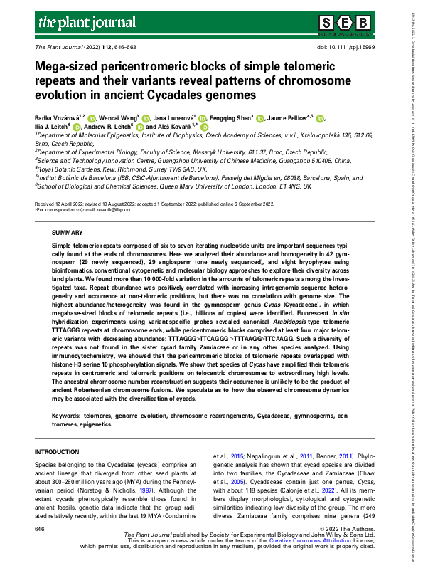 Pdf Mega‐sized Pericentromeric Blocks Of Simple Telomeric Repeats And 3401