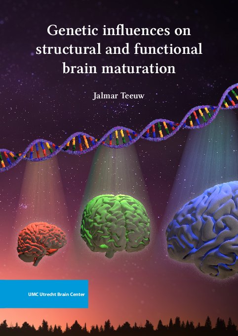 (PDF) Genetic influences on structural and functional brain maturation