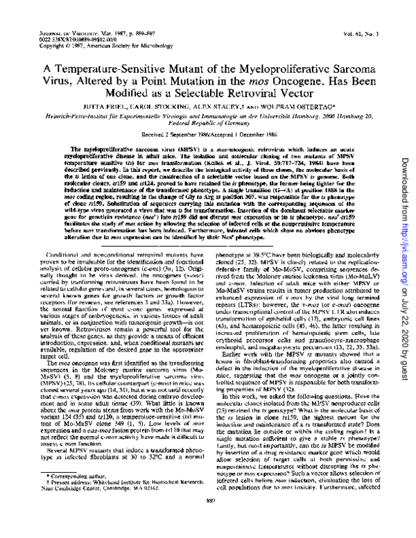 Pdf A Temperature Sensitive Mutant Of The Myeloproliferative Sarcoma Virus Altered By A Point