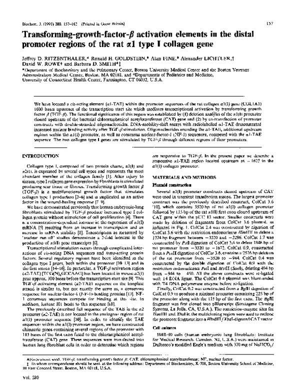 (PDF) Transforming-growth-factor- β activation elements in the distal promoter regions of the ...