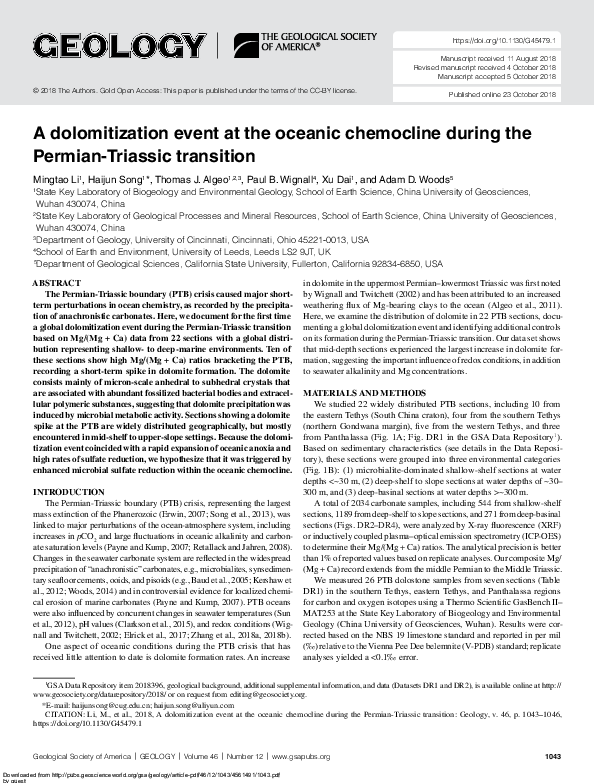 (PDF) A dolomitization event at the oceanic chemocline during the ...