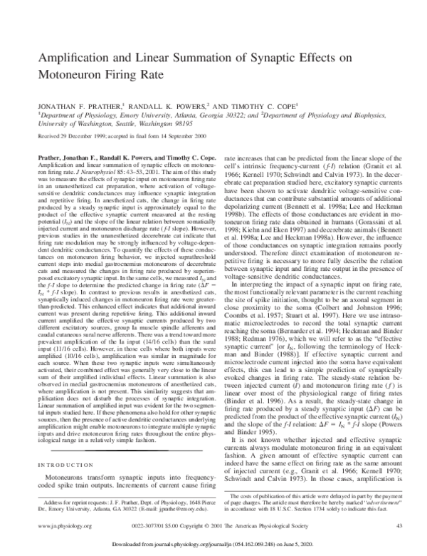 (PDF) Amplification and Linear Summation of Synaptic Effects on Motoneuron Firing Rate