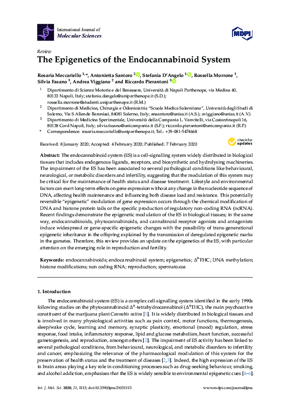 (PDF) The Epigenetics of the Endocannabinoid System