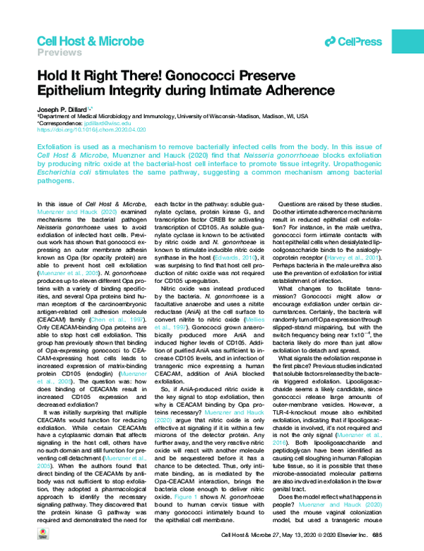 (PDF) Hold It Right There! Gonococci Preserve Epithelium Integrity during Intimate Adherence