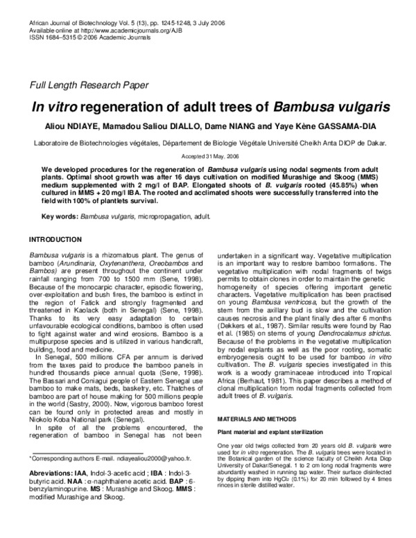 (PDF) In vitro regeneration of adult trees of Bambusa vulgaris