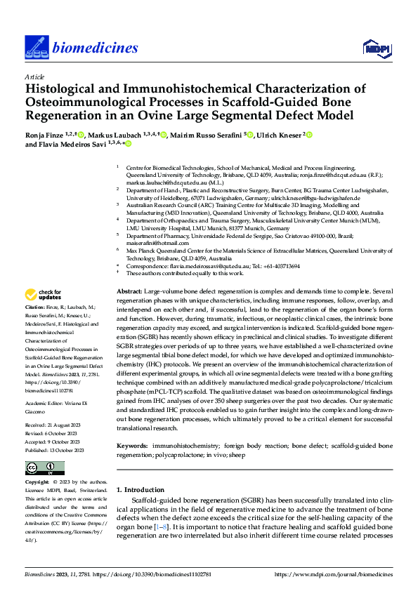 Pdf Histological And Immunohistochemical Characterization Of Osteoimmunological Processes In