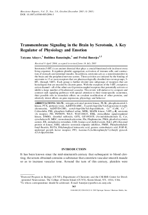 (PDF) Transmembrane Signaling in the Brain by Serotonin, A Key ...