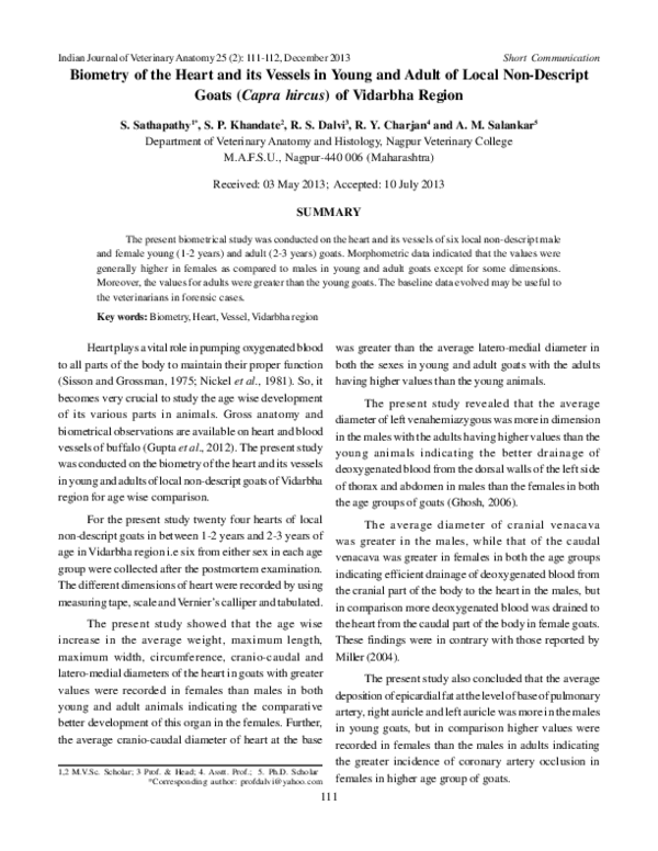 (PDF) Biometry of the heart and its vessels in young and adult of local ...