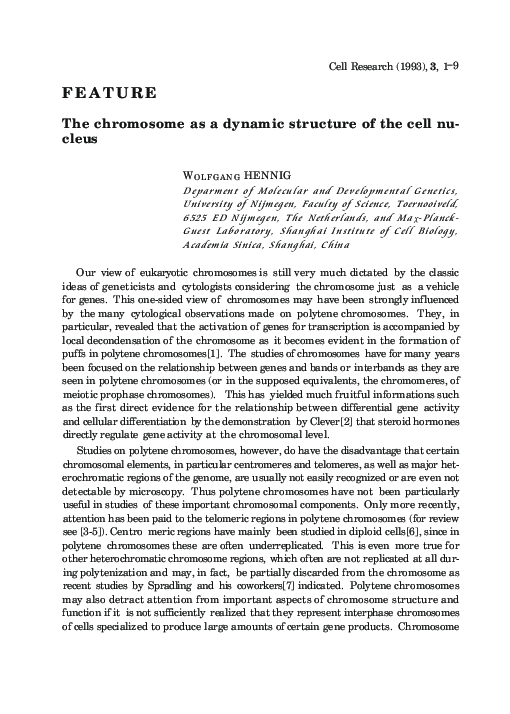 (PDF) The chromosome as a dynamic structure of the cell nucleus
