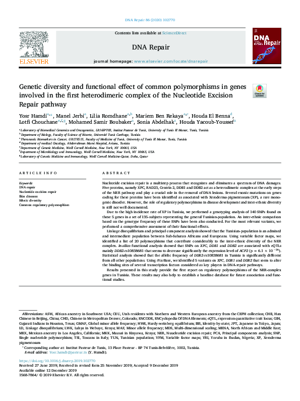 (PDF) Genetic diversity and functional effect of common polymorphisms ...
