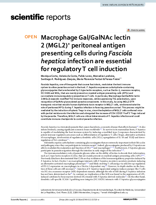 (PDF) Macrophage Gal/GalNAc lectin 2 (MGL2)+ peritoneal antigen ...