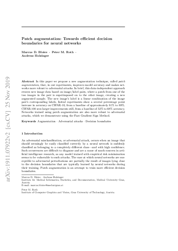 Patch Augmentation Towards Efficient Decision Boundaries For Neural