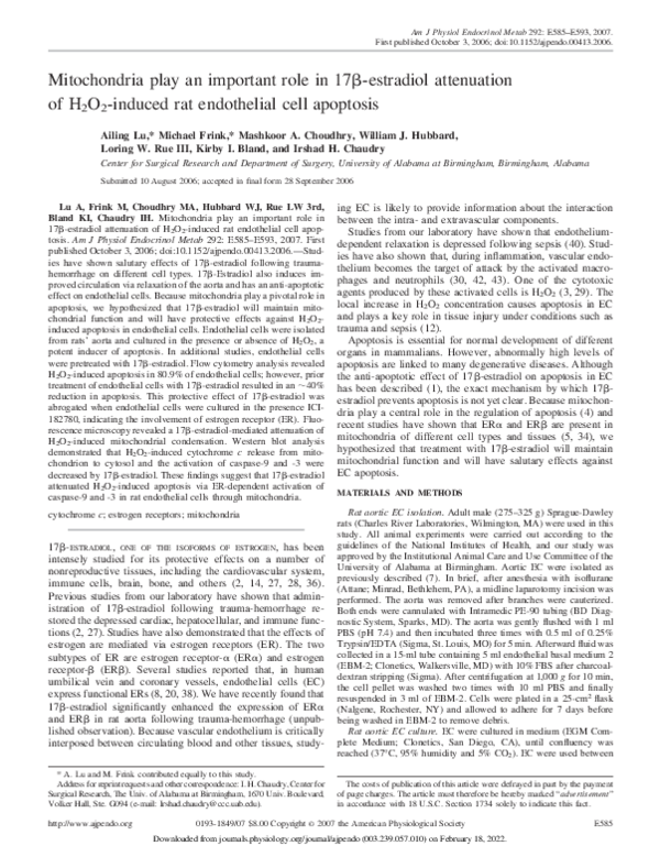 (PDF) Mitochondria play an important role in 17β-estradiol attenuation ...
