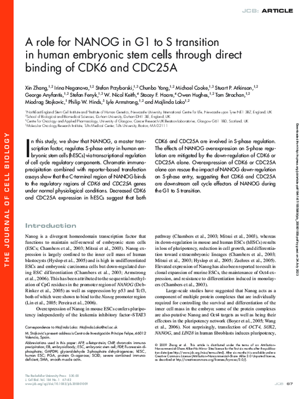 (PDF) A role for NANOG in G1 to S transition in human embryonic stem ...