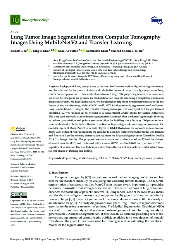 (PDF) Lung Tumor Image Segmentation from Computer Tomography Images ...