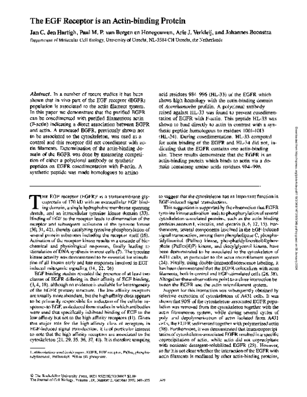 (PDF) The EGF receptor is an actin-binding protein